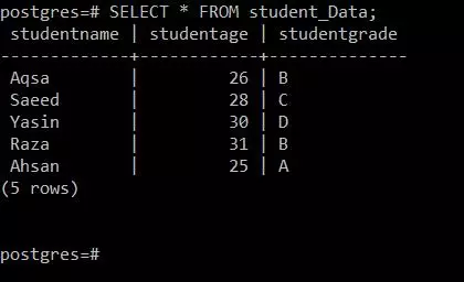 Ngaba ndingayifaka i-Excel kwi-PostgreSQL? 10053_11