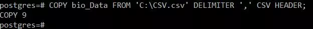 నేను PostgreSQLలోకి CSV ఫైల్ను ఎలా దిగుమతి చేయాలి? 10061_9