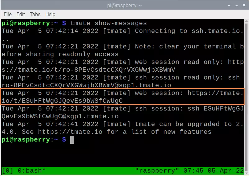 Hvordan dele Raspberry Pi Terminal gjennom tmate 10118_10