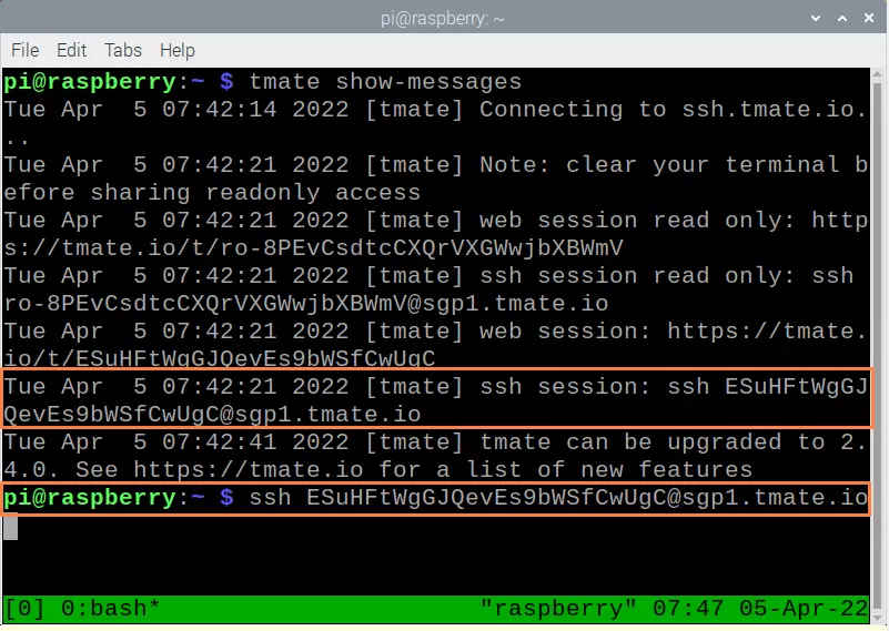 Hvordan dele Raspberry Pi Terminal gjennom tmate 10118_11