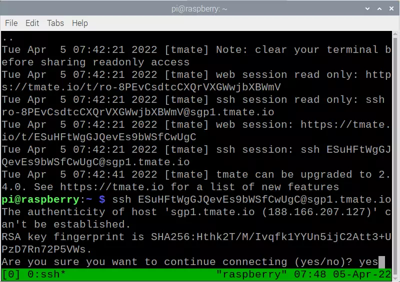 Fa'afefea ona Fa'asoa le Raspberry Pi Terminal e ala i tmate 10118_12