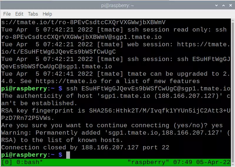 Hvordan dele Raspberry Pi Terminal gjennom tmate 10118_13