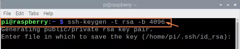 Hoe om Raspberry Pi Terminal deur tmate te deel 10118_3