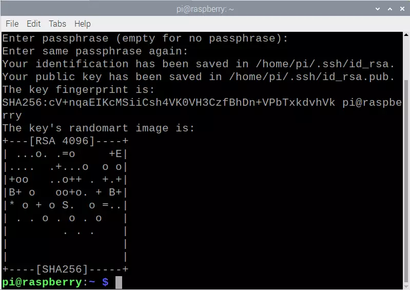 Fa'afefea ona Fa'asoa le Raspberry Pi Terminal e ala i tmate 10118_5