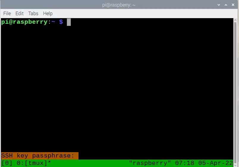 Hoe om Raspberry Pi Terminal deur tmate te deel 10118_6