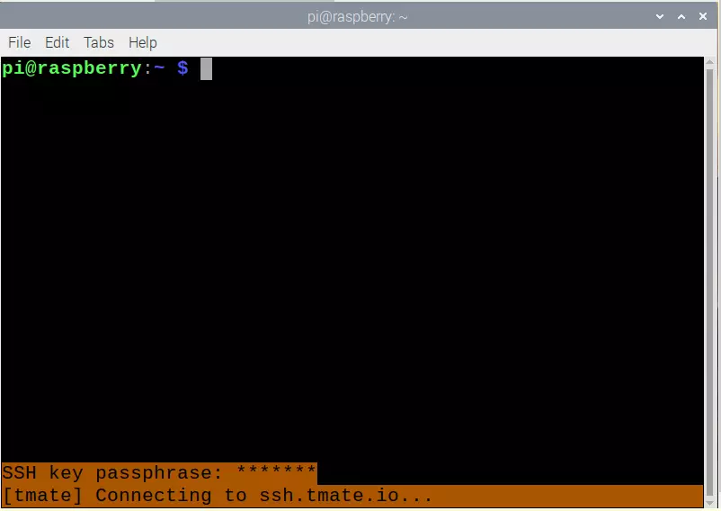 Hoe om Raspberry Pi Terminal deur tmate te deel 10118_7