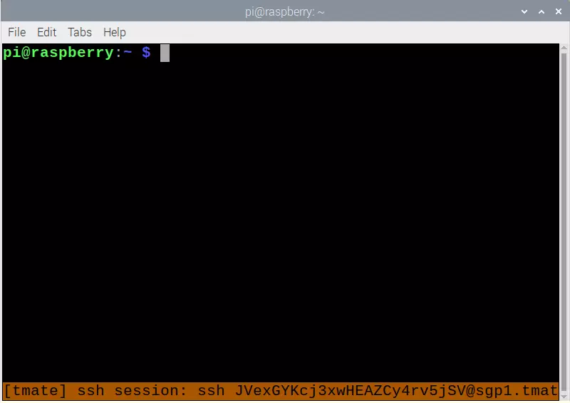 Fa'afefea ona Fa'asoa le Raspberry Pi Terminal e ala i tmate 10118_8