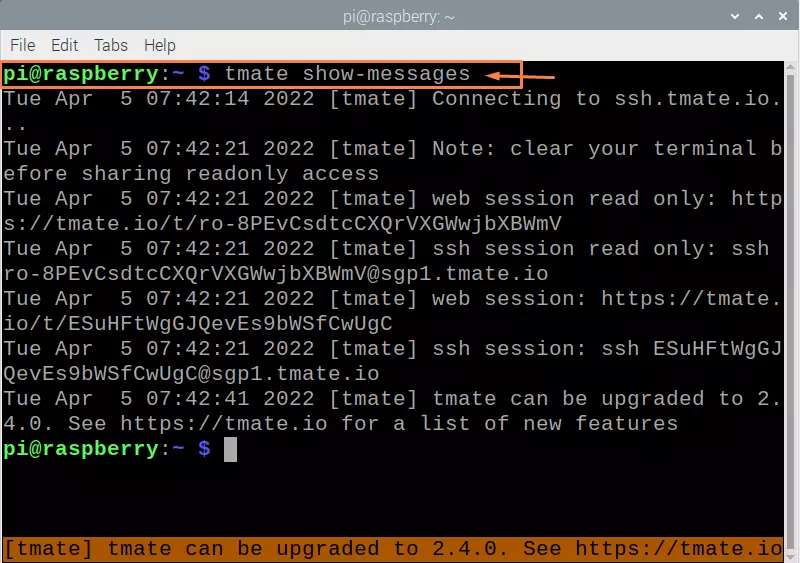 Hvordan dele Raspberry Pi Terminal gjennom tmate 10118_9