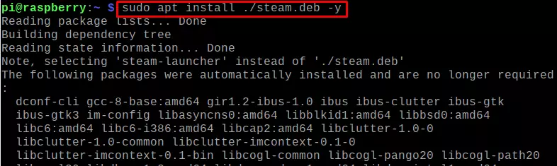 Como instalar steam en Raspberry Pi 10152_8