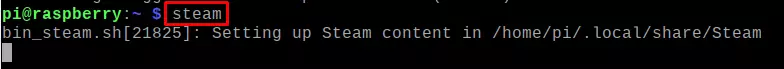 ರಾಸ್ಪ್ಬೆರಿ ಪೈನಲ್ಲಿ ಸ್ಟೀಮ್ ಅನ್ನು ಹೇಗೆ ಸ್ಥಾಪಿಸುವುದು 10152_9