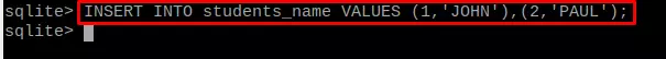 Kako namestiti in nastaviti SQLite na Raspberry Pi 10155_13