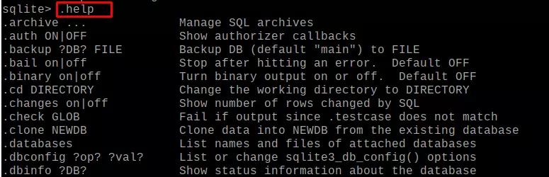 Come installare e configurare SQLite su Raspberry Pi 10155_15