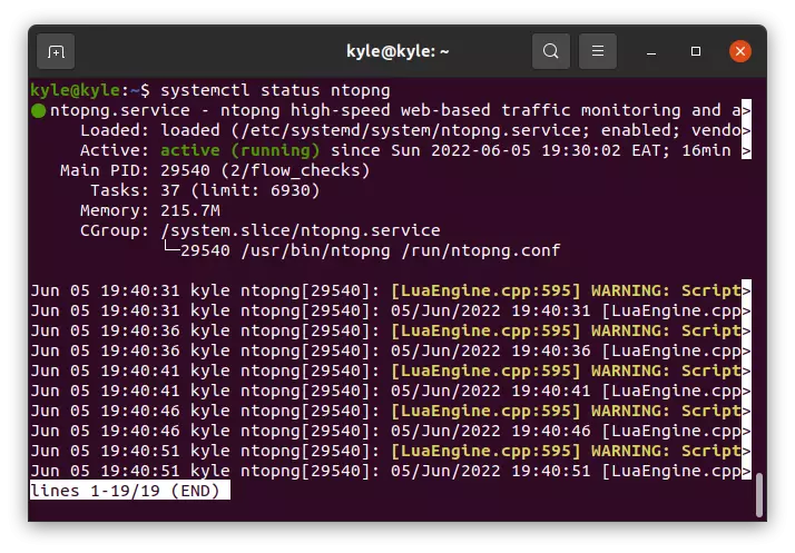Наблюдение на мрежовия трафик с помощта на Ntop Linux команда 101_9