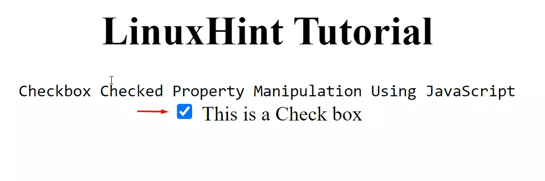 Apoti Iṣawọle JavaScript ti a ṣayẹwo Ohun-ini | Ti ṣe alaye pẹlu awọn apẹẹrẹ 10225_2