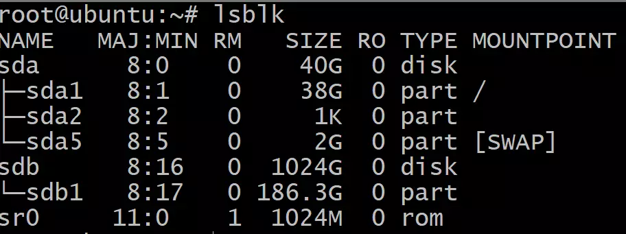 Tsim thiab Resizing XFS Partitions 10281_5