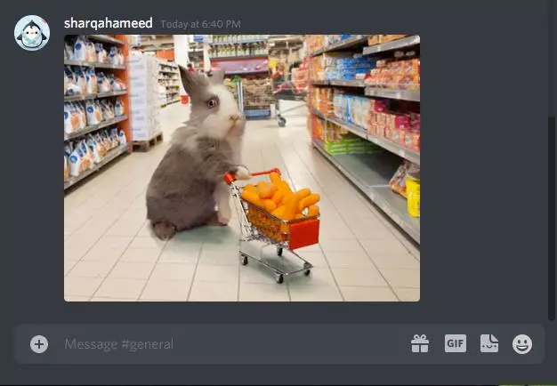 Hvordan bruger du chatkommandoer i Discord 10314_4