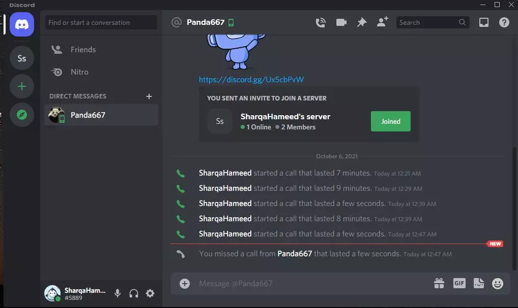 Conas scair scáileáin a chumasú ar Discord Server 10317_1