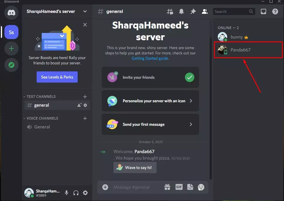 Hvernig á að virkja skjádeilingu á Discord Server 10317_3