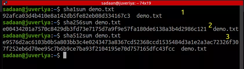 Linux પર SHASUM આદેશ 1038_4