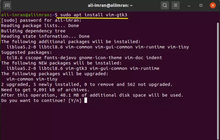 Wéi installéiert Gvim op Ubuntu 20.04 1043_4