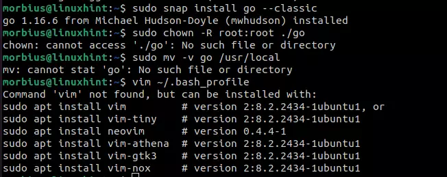 Cara Instal Basa Pemrograman GoLang ing Ubuntu 10463_1