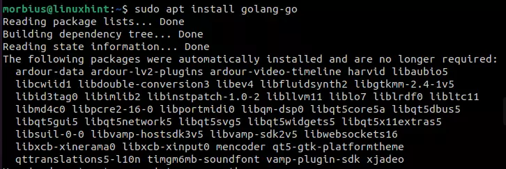 Cara Instal Basa Pemrograman GoLang ing Ubuntu 10463_6