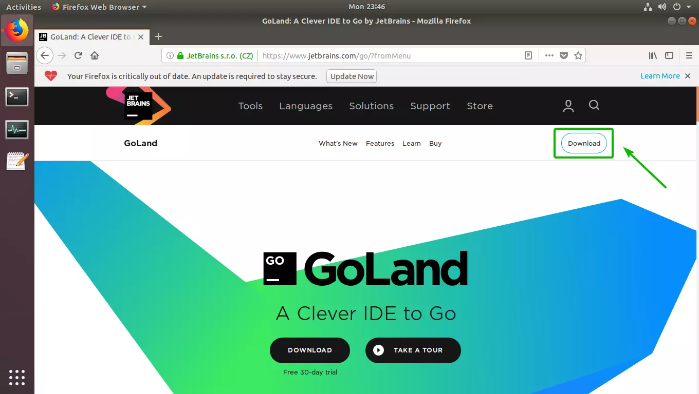 Faʻapipiʻi Jetbrains GoLand Go IDE ile Ubuntu 10464_2