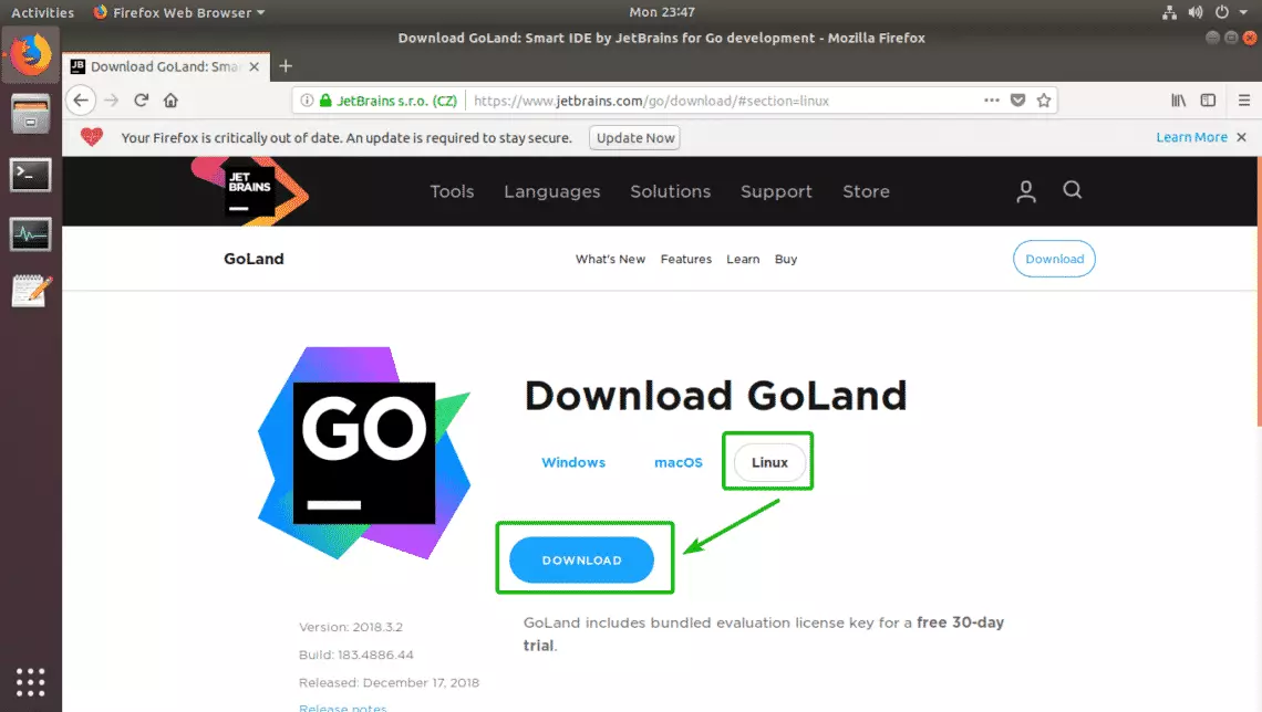 Installieren Sie Jetbrains GoLand Go IDE auf Ubuntu 10464_3