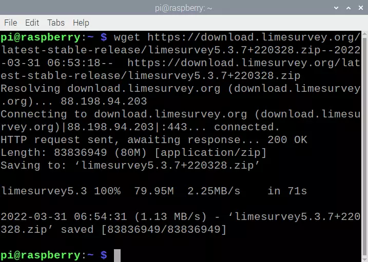 Raspberry Pi پر LimeSurvey کو ترتیب دینا 10744_4