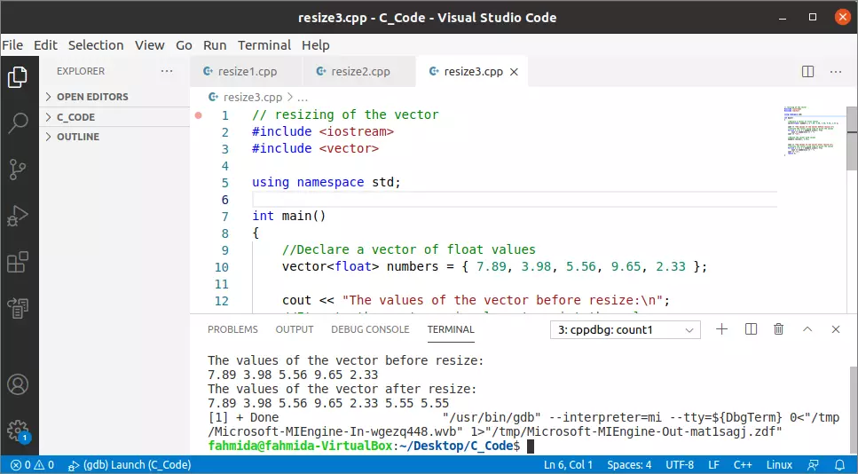 Funzione Vector Resize() in C++ 10824_3