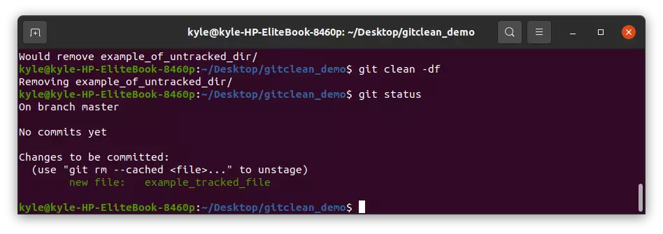 Fjernelse af usporede filer ved hjælp af Git Clean Command 1089_7