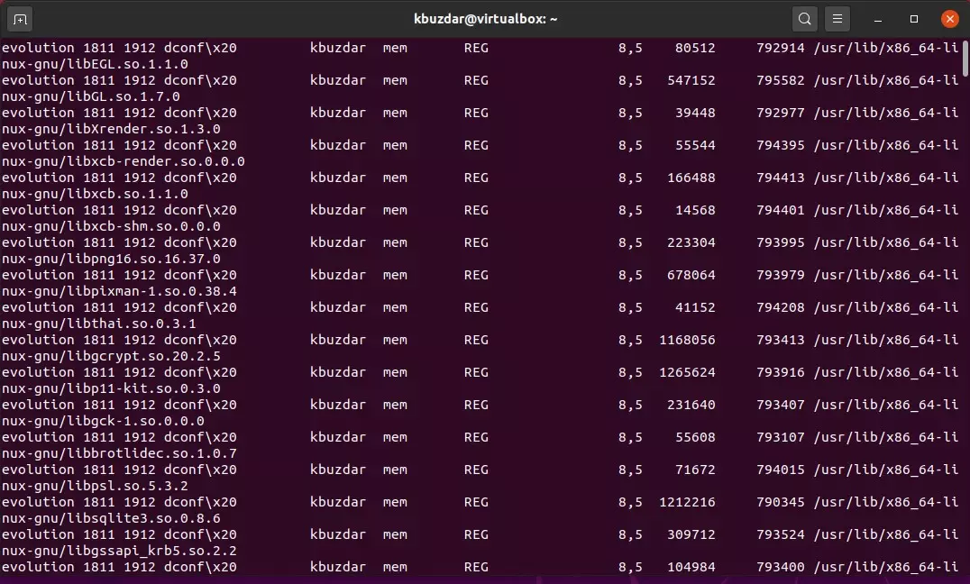 Hvernig á að nota LSOF skipunina í Linux 10924_1