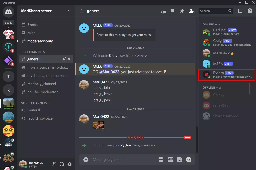 ડિસકોર્ડમાં રિધમ બોટ કેવી રીતે ઉમેરવું 1100_5