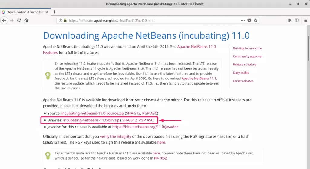 Debian 10 တွင် NetBeans IDE ကို ထည့်သွင်းခြင်း။ 11040_11