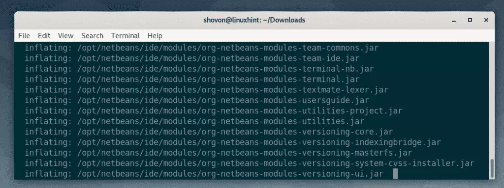 Debian 10 တွင် NetBeans IDE ကို ထည့်သွင်းခြင်း။ 11040_18