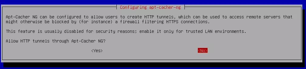 Apt-Cacher-NG सह डेबियन 10 पॅकेज कॅशे सर्व्हर सेट करणे 11041_11
