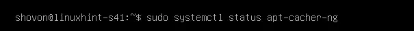 Debian 10 -pakettivälimuistipalvelimen määrittäminen Apt-Cacher-NG:n kanssa 11041_13