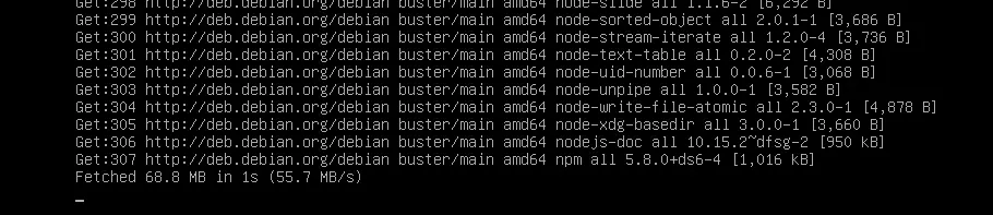 Apt-Cacher-NG белән Debian 10 Package Cache серверын урнаштыру 11041_21