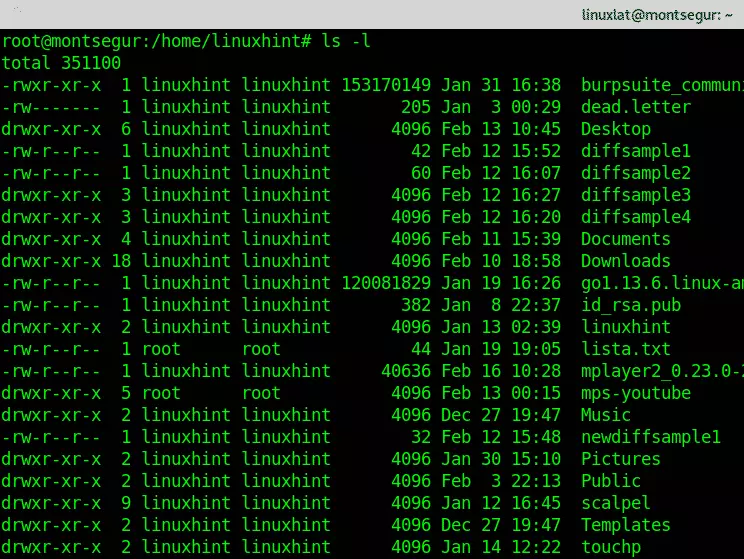 Hoe kinne jo bestannen listje op grutte yn Linux 11044_1