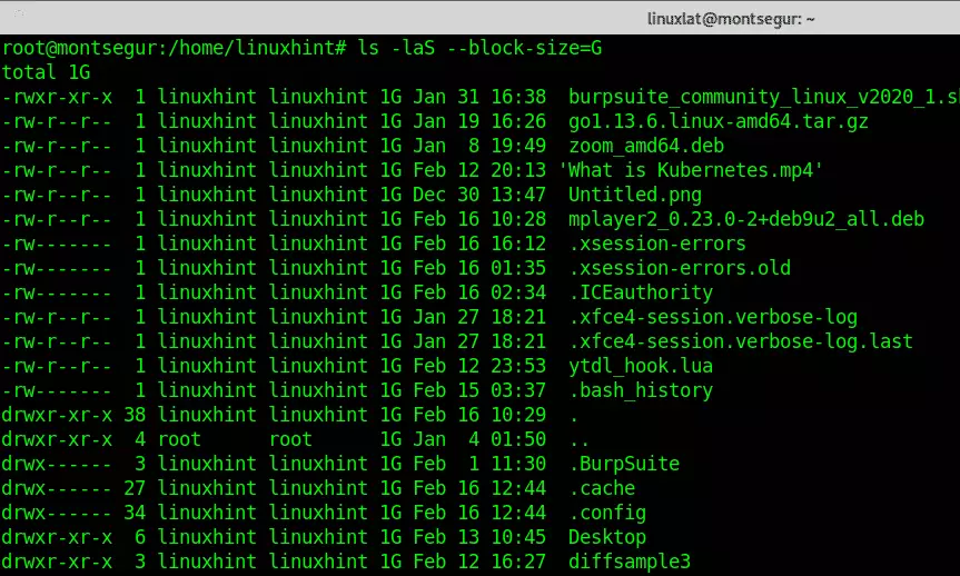 Linux'та файлдарды өлчөмү боюнча кантип тизмелөө керек 11044_10