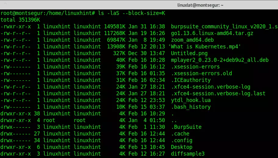 Kuidas Linuxis suuruse järgi järjestatud faile loetleda 11044_11