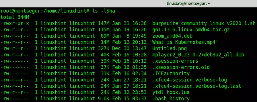 Linuxలో పరిమాణం ద్వారా ఆర్డర్ చేయబడిన ఫైల్లను ఎలా జాబితా చేయాలి 11044_4
