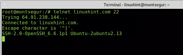 Telnet către un port specific în scopuri de testare 11046_2