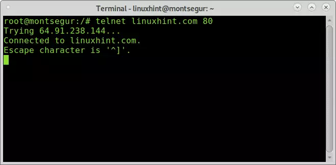 Telnet către un port specific în scopuri de testare 11046_3