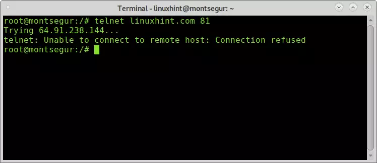 Telnet sa isang Partikular na Port para sa Mga Layunin ng Pagsubok 11046_6