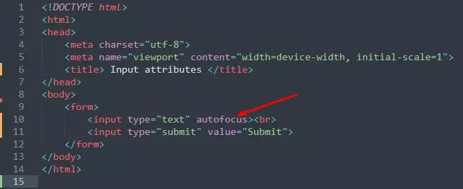 atributet e formës hyrëse në HTML 11144_15