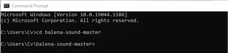 Com instal·lar BalenaSound a Raspberry Pi 11261_24