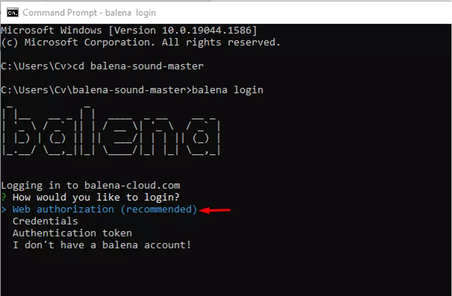 Sådan installeres BalenaSound på Raspberry Pi 11261_26