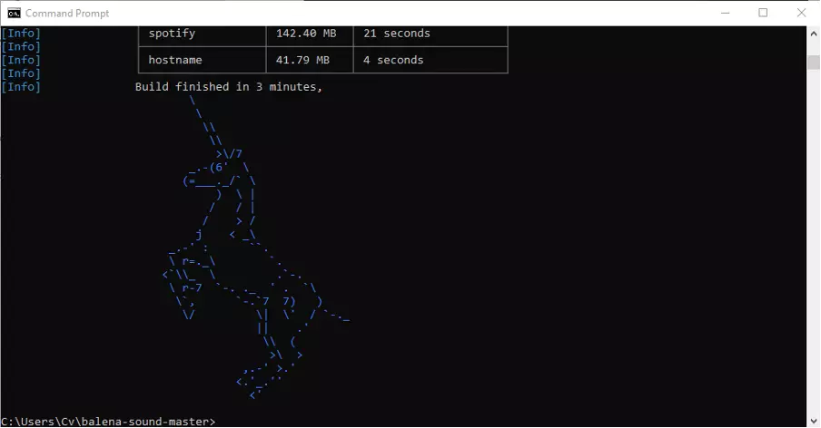 Raspberry Pi дээр BalenaSound хэрхэн суулгах талаар 11261_33