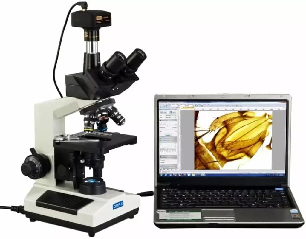 Qhov zoo tshaj plaws digital microscope rau Linux 11306_5